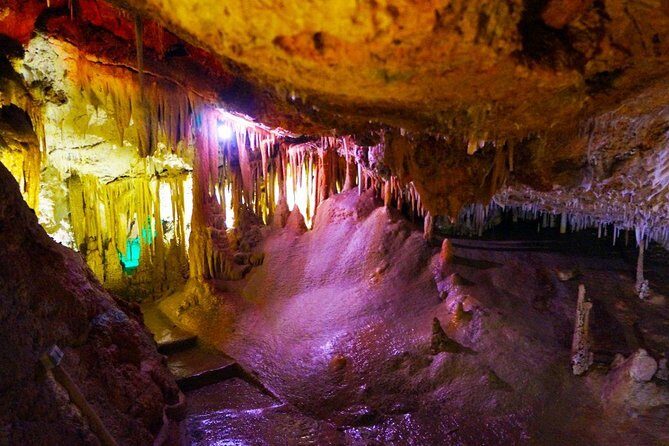 Caves of Genova Admission in Palma de Mallorca - Who It’s Best For