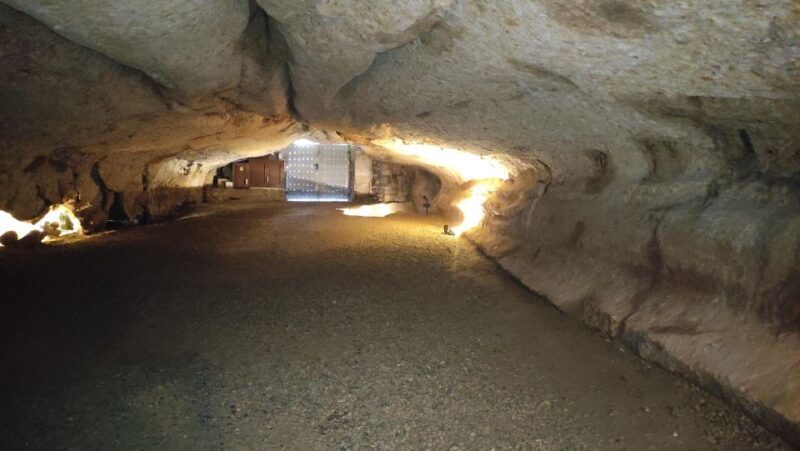 Caves prehistory of Esplugues Francolí with hotel pickup - The Sum Up