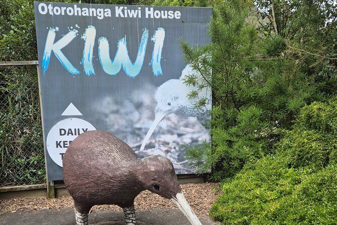 Caves to Kiwis E-Bike Rental - FAQ