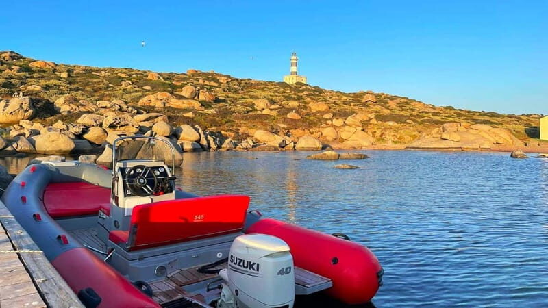 Cavoli Island: sunset rubber boat tour with aperitif - Diving Into the Marine Environment