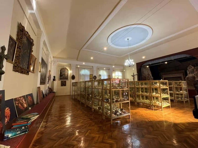 Cavtat: Shell Museum Private Guided Tour - What Travelers Say