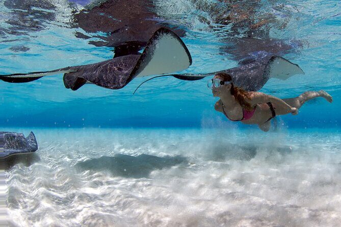 Cayman 2 in 1 Combo Tour Stingray City Reef Snorkel Adventure - Practical Details & Logistics