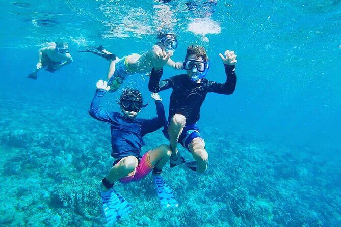 Cayman 2 in 1 Combo Tour Stingray City Reef Snorkel Adventure - What Travelers Say: Authentic Insights