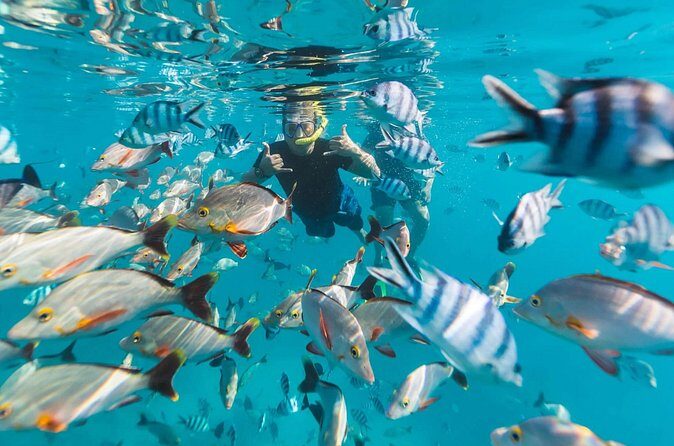 Cayman 2 in 1 Combo Tour Stingray City Reef Snorkel Adventure - Final Thoughts