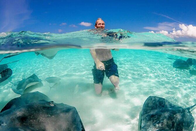 Cayman 3 in 1 Adventure Reef Snorkeling, Starfish and Stingrays - Key Points