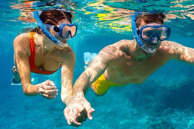 Cayman 3 in 1 Adventure Reef Snorkeling, Starfish and Stingrays - Authentic Experiences and Traveler Feedback