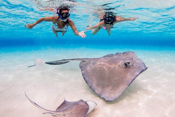 Cayman 3 in 1 Combo Adventure Stingray City Reef Snorkeling - Final Thoughts: Is This Tour Worth It?