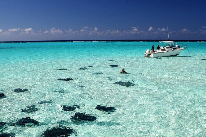 Cayman 3 in 1 Combo: Starfish Point, Stingrays and Reefs - Exploring Grand Cayman’s Marine Treasures in a Compact Tour
