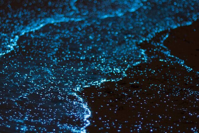 Cayman Bioluminescent Bay Night Tour - What’s Included and What’s Not?
