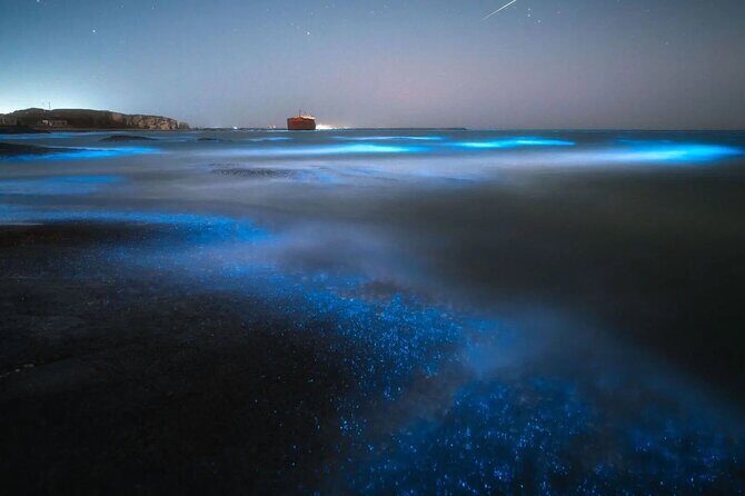 Cayman Bioluminescent Bay Night Tour - Final Thoughts: Who Should Consider This Tour?