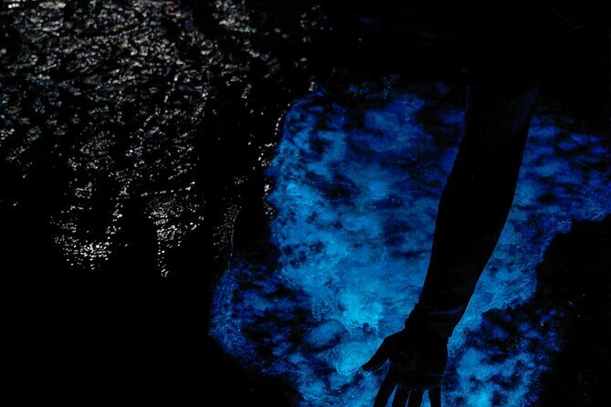 Cayman Bioluminescent Bay Night Tour - The Sum Up