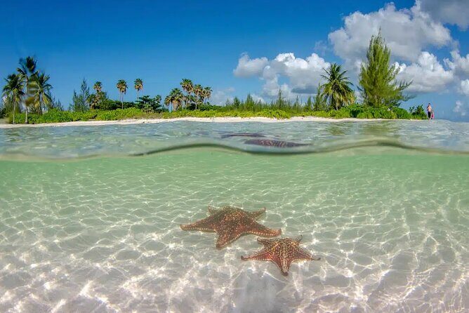 Cayman Combo Tour: Starfish Point, Stingray City & Coral Gardens - Practical Tips for Participants