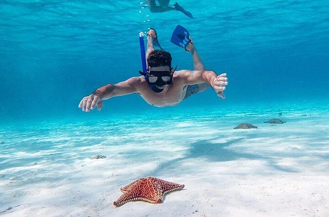 Cayman Combo Tour: Starfish Point, Stingray City & Coral Gardens - Who Will Love This Tour?