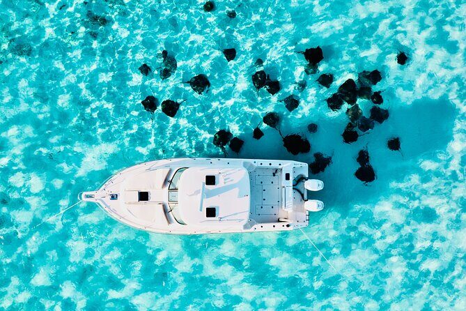 Cayman Private Luxury Charters - Stingray City, Snorkel, & More - Setting the Scene: What to Expect from the Tour