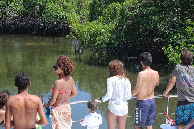 Cayo Arena Catamaran Cruise from Puerto Plata with Lunch - The Verdict: Who Will Love This Tour?