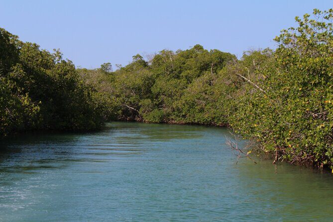 Cayo Arena Day Trip from Puerto Plata, Sosua and Cabarete - An In-Depth Look at the Cayo Arena Day Trip