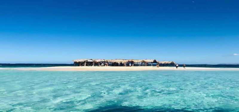 Cayo Arena & Mangroves Tour with Snorkeling & Food - Key Points