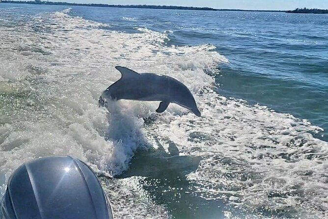 Cayo Costa Private Power Boat Experience - Diving into the Itinerary
