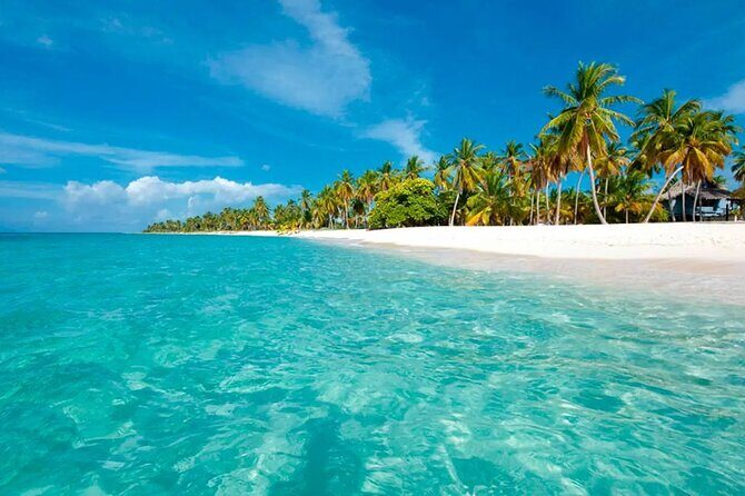 Cayo Levantado, Isla Bacardí and Whale Watching in Samaná - Who Should Consider This Tour?