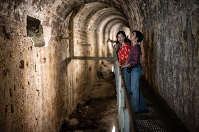 Cazorla: Highligts Tour with Olive Oil Tasting - Who Is This Tour Best For?