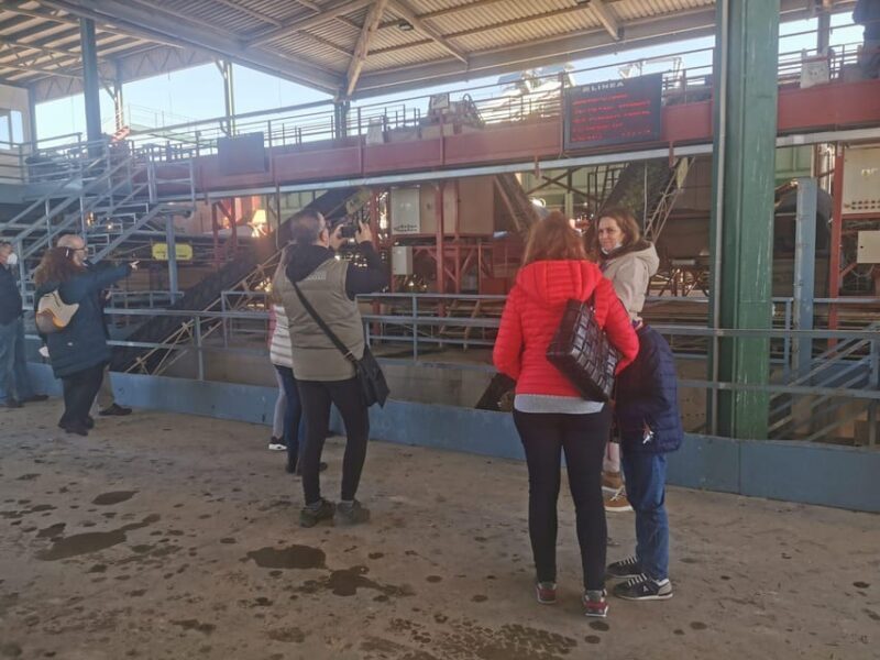 Cazorla: Oleotour - Olive Oil Culture Initiation - Final Thoughts