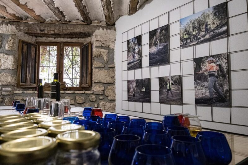Cazorla: Olive oil tasting - Key Points