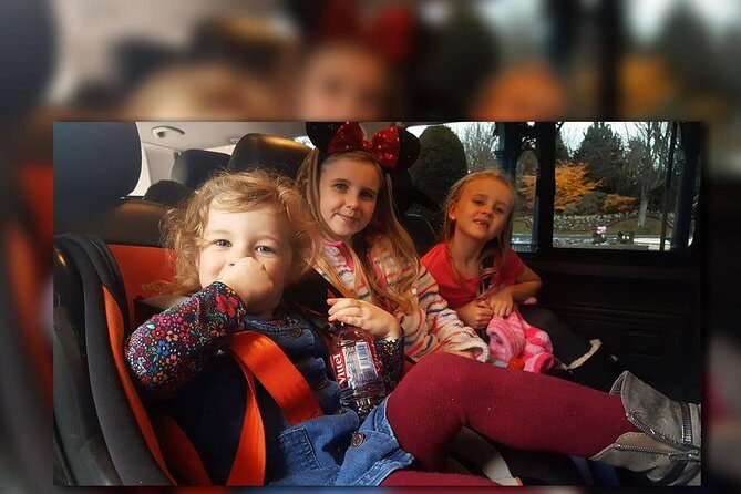 CDG - Euro Disney One Way Private Shuttle Transfer - Introduction