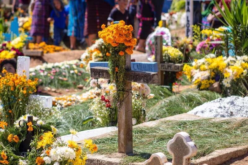 CDMX: Day of the Dead Legends, Ghosts and Mysteries Tour - Practical Tips for Travelers
