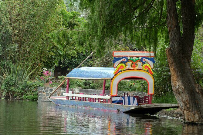 CDMX Enjoy a unique tour of Xochimilco and Coyoacán - Final Thoughts