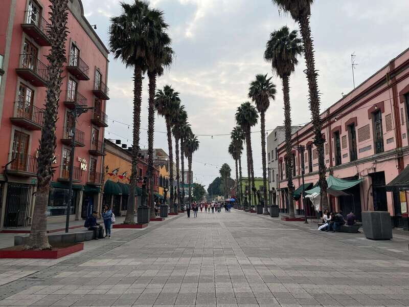 CDMX: Garibaldi Copa Show - What Is the Garibaldi Copa Show?
