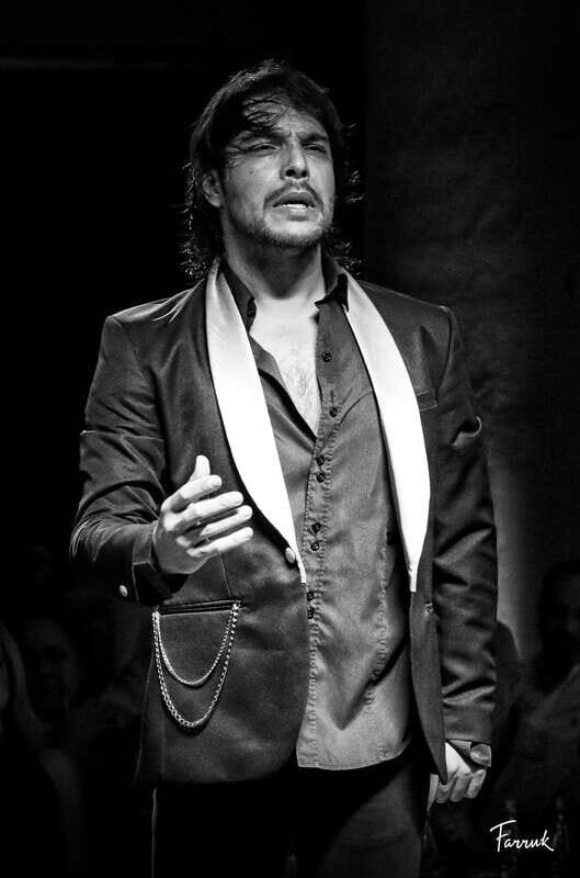 CDMX: Live Flamenco Show and Dinner - Key Points