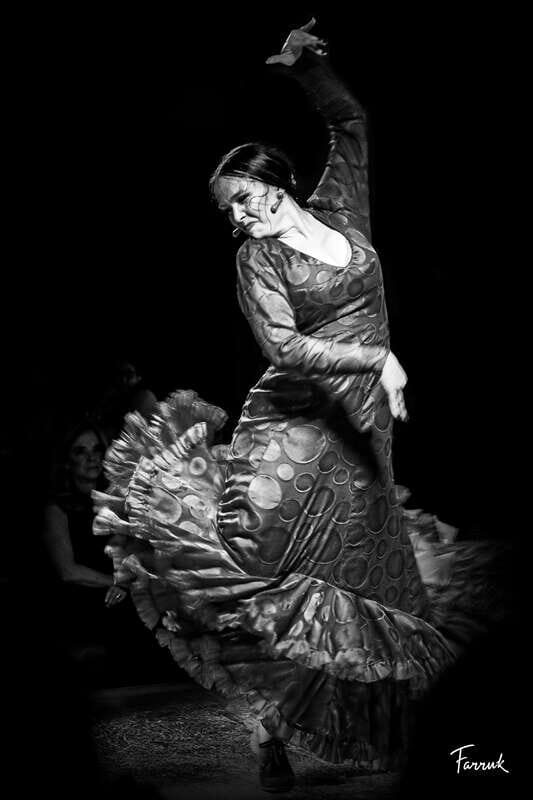 CDMX: Live Flamenco Show and Dinner - The Performance: Music, Dance, and Atmosphere