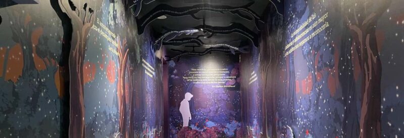 CDMX: Museum of Memory and Tolerance - Children in Silence (Admission ticket) - The Itinerary: What to Expect