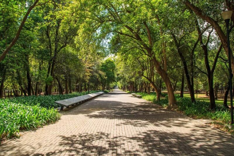 CDMX: Private bicycle tour through the Chapultepec Forest. - Key Points