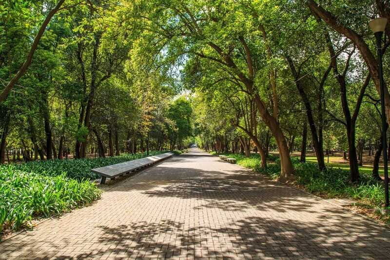 CDMX: Private bicycle tour through the Chapultepec Forest. - FAQs