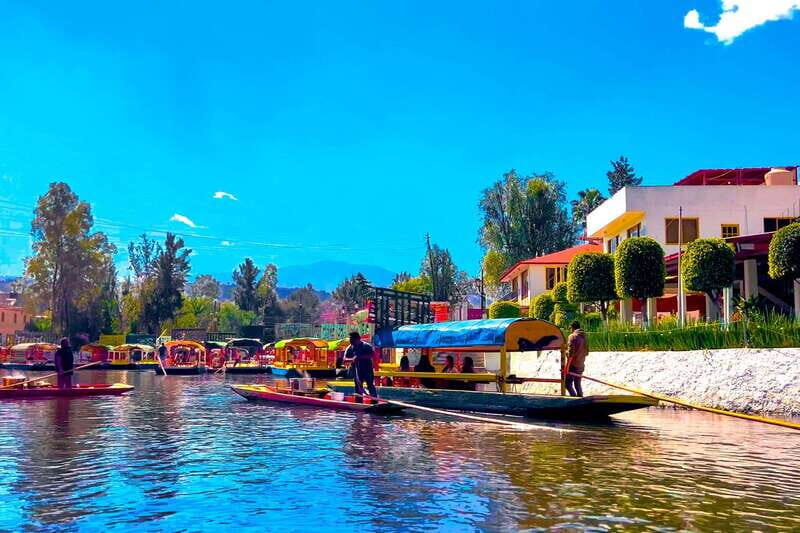 CDMX: Xochimilco Trajinera Party, Drinks, Mariachi & Tacos - Authenticity and Cultural Insight