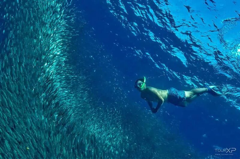 Cebu: 2 Days 1 Night City and Moalboal Tour Package - Exploring Cebu: A Practical Breakdown