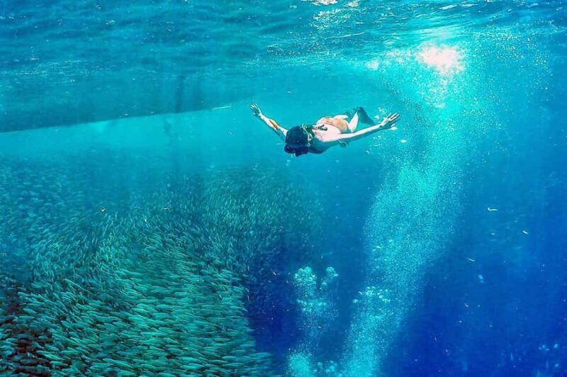 Cebu: 2 Days 1 Night City and Moalboal Tour Package - Final Thoughts