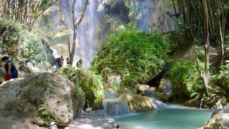 Cebu: 2 Days 1 Night Tour Package (Oslob) - Key Points