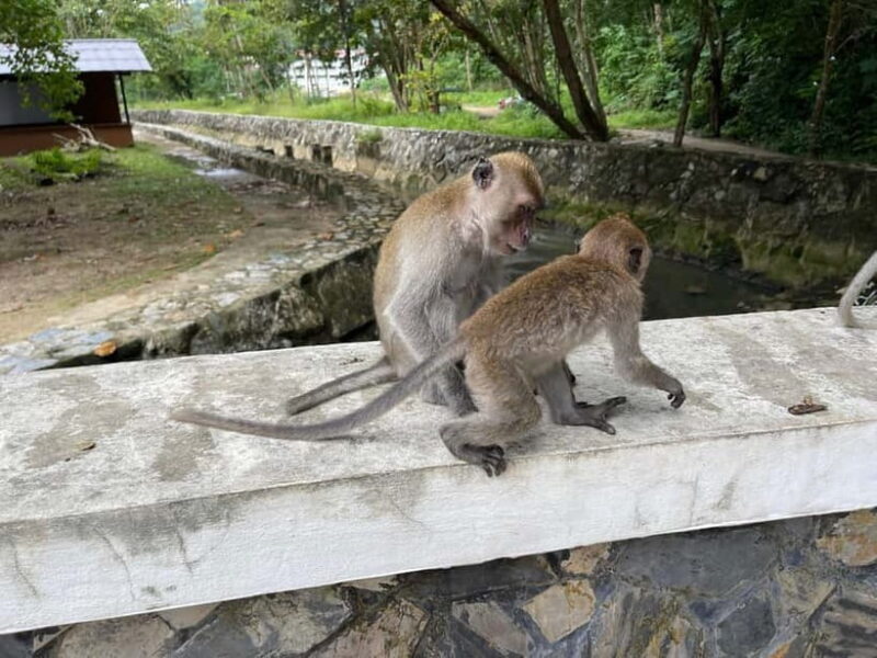 Cebu: 4 Days and 3 Nights Cebu Tour Package - Final Thoughts: Who Will Love This Tour?