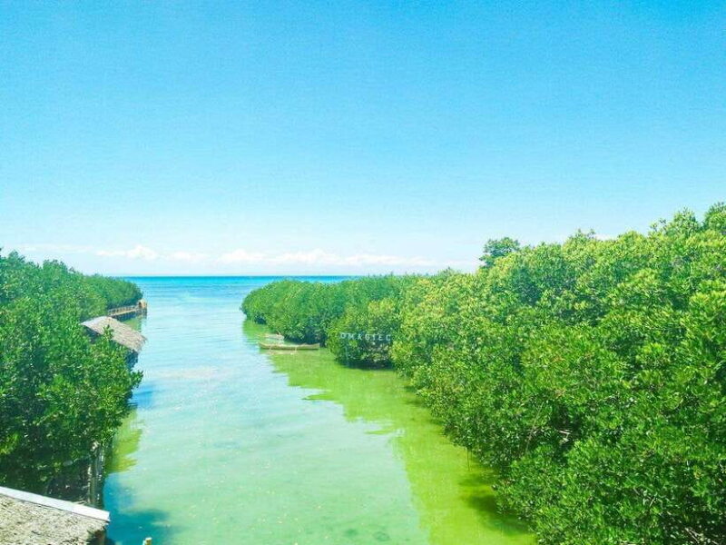 Cebu Bantayan Island Day Tour (Private Tour) - FAQ