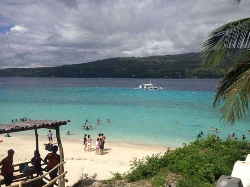 Cebu: Boat Day Trip with Whale Shark Swimming and Lunch - What’s Included and What’s Not