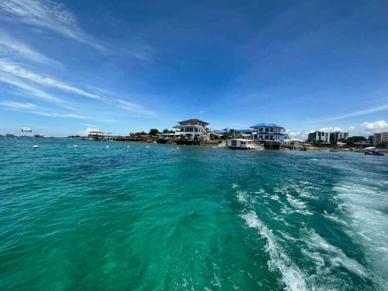 Cebu: boat diving two dive tour in Olango island - Key Points