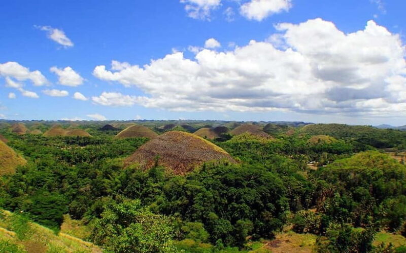 Cebu: Bohol Countryside and Loboc River Cruise Day Tour - FAQ