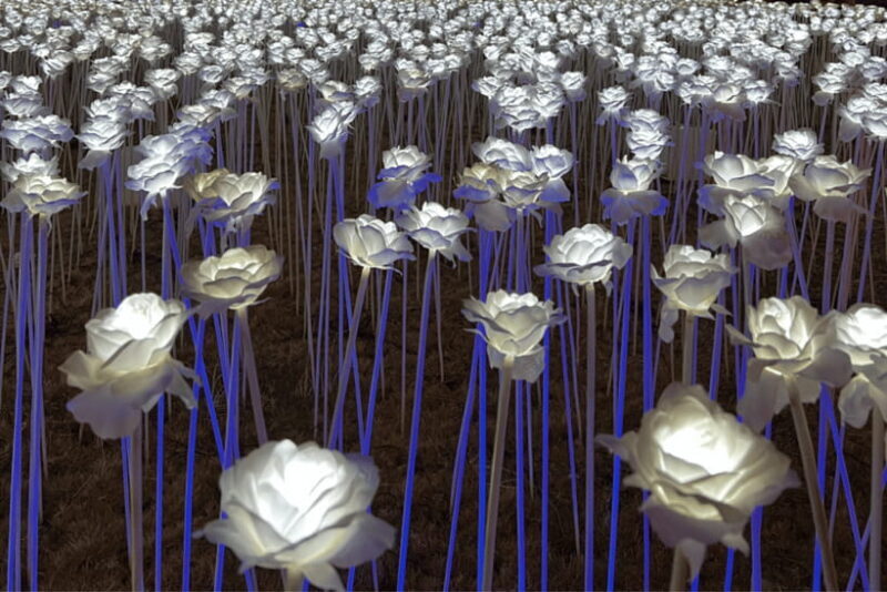 Cebu: Cebu City and Mactan Island Tour - A Deep Dive Into the Itinerary