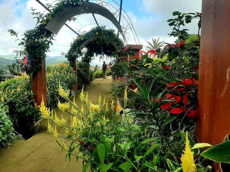 Cebu City: Cultural Heritage Tour & 10,000 Roses Visit - Key Points