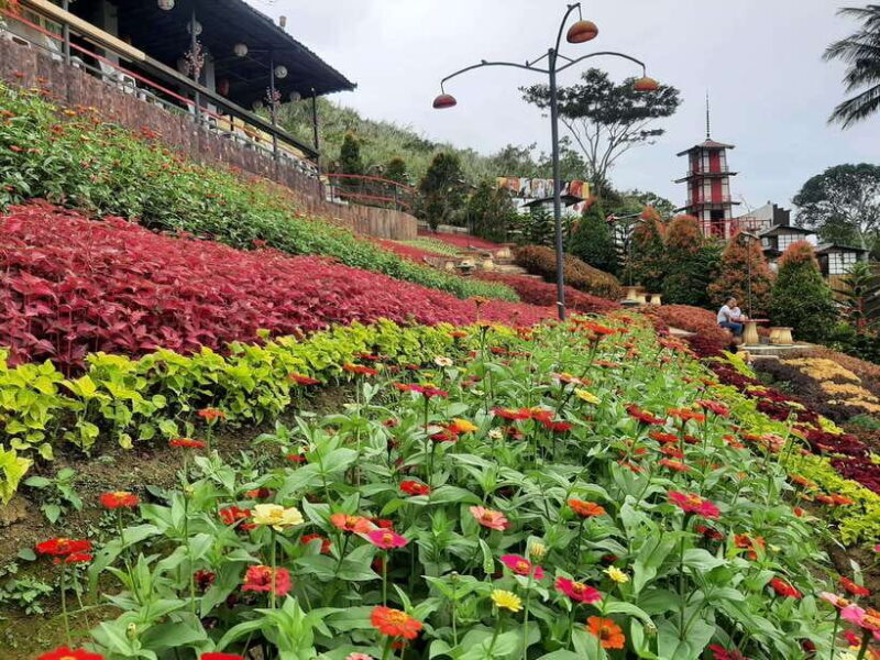 Cebu City: Cultural Heritage Tour & 10,000 Roses Visit - Who Will Love This Tour?