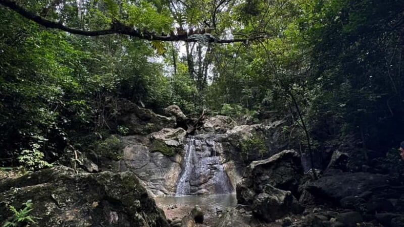 Cebu City: Guided Trekking Experience - An In-Depth Look at the Cebu City Guided Trekking Tour