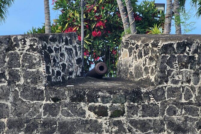 Cebu City Heritage Tour with Lunch Half Day - FAQ