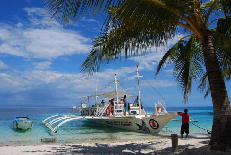 Cebu City: Malapascua Island Day Tour with Snorkeling - The Value in Context